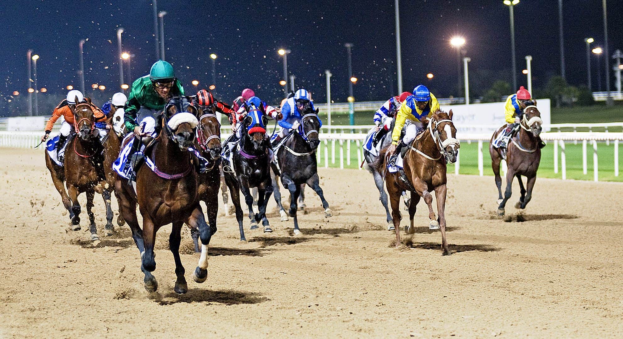 Meydan Racetrack - Dubai.de